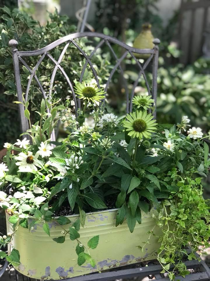 Freestyle Lesson - GARDENS（ガーデンズ） | 香川県高松市の造園・エクステリア・ガーデニング デザイン