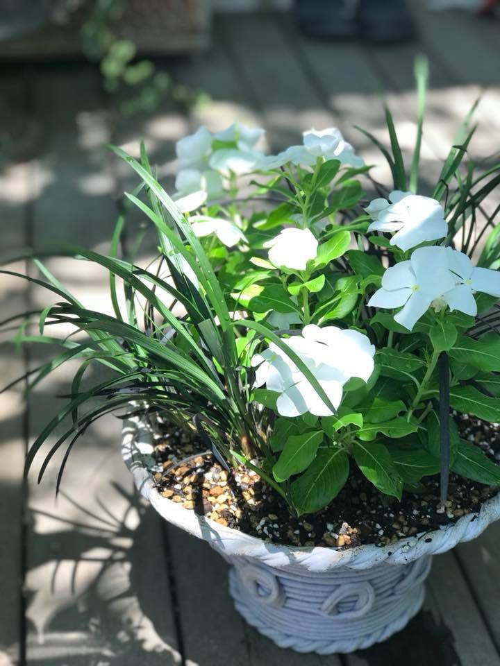 Freestyle Lesson - GARDENS（ガーデンズ） | 香川県高松市の造園・エクステリア・ガーデニング デザイン