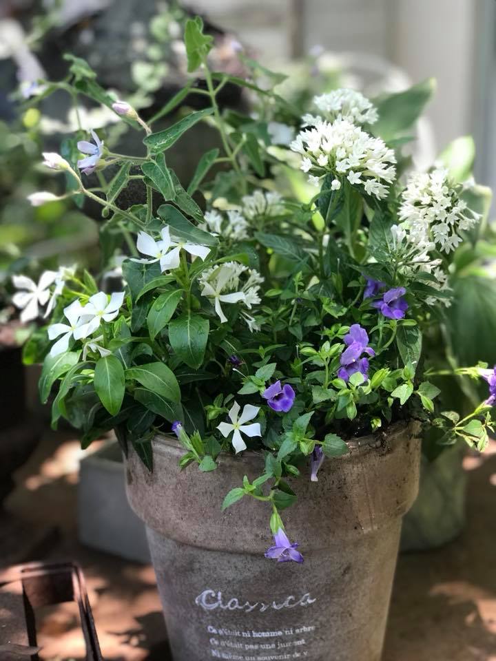 Freestyle Lesson - GARDENS（ガーデンズ） | 香川県高松市の造園・エクステリア・ガーデニング デザイン