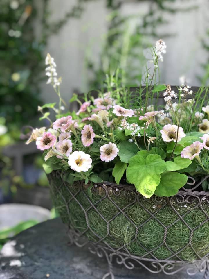 Freestyle Lesson Day - GARDENS（ガーデンズ） | 香川県高松市の造園・エクステリア・ガーデニング デザイン